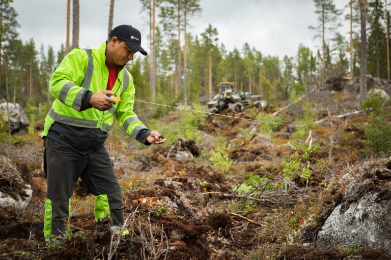 Markbered och trygga framtiden för nästa generation skog – SCA