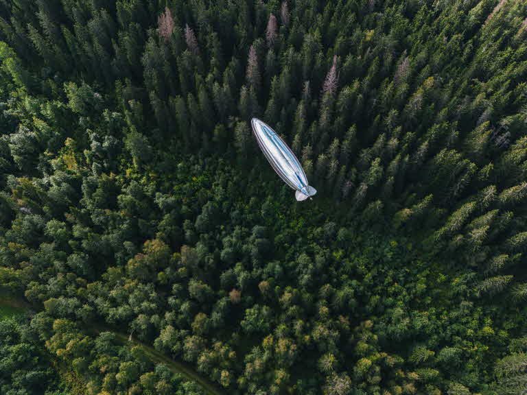 SingleTree – for an optimal forestry – SCA