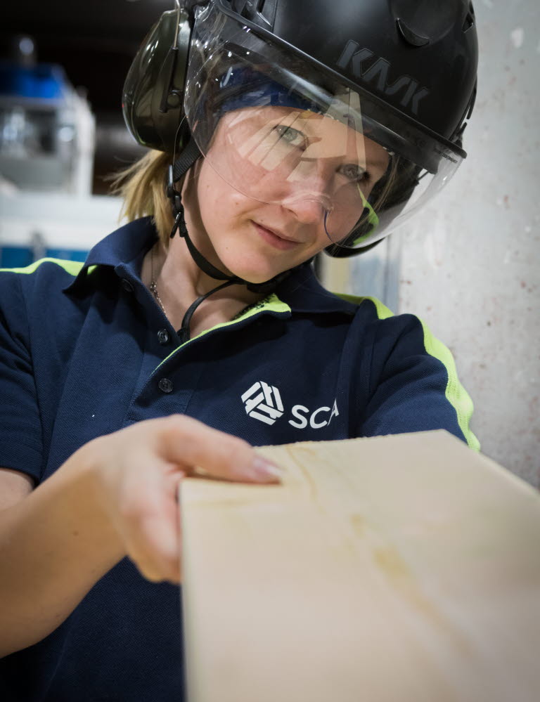 We maximize the value of each log – SCA