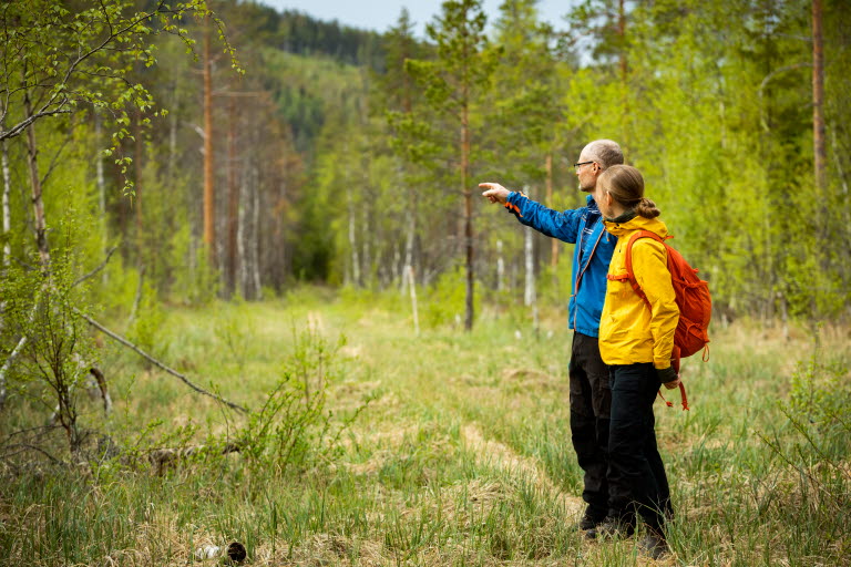 Welcome to our forest – SCA