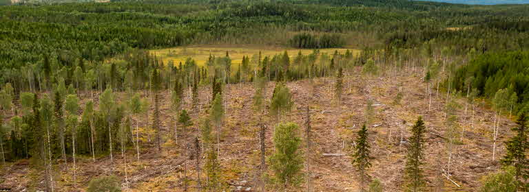 Conservation value protection – how the planning process works – SCA