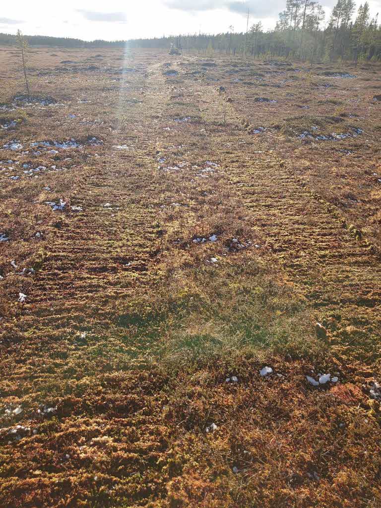 SCA restores large wetland area – SCA