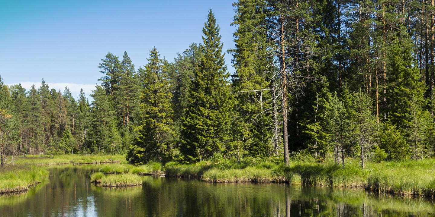 SCA Kraftliner Wet Strength - SCA