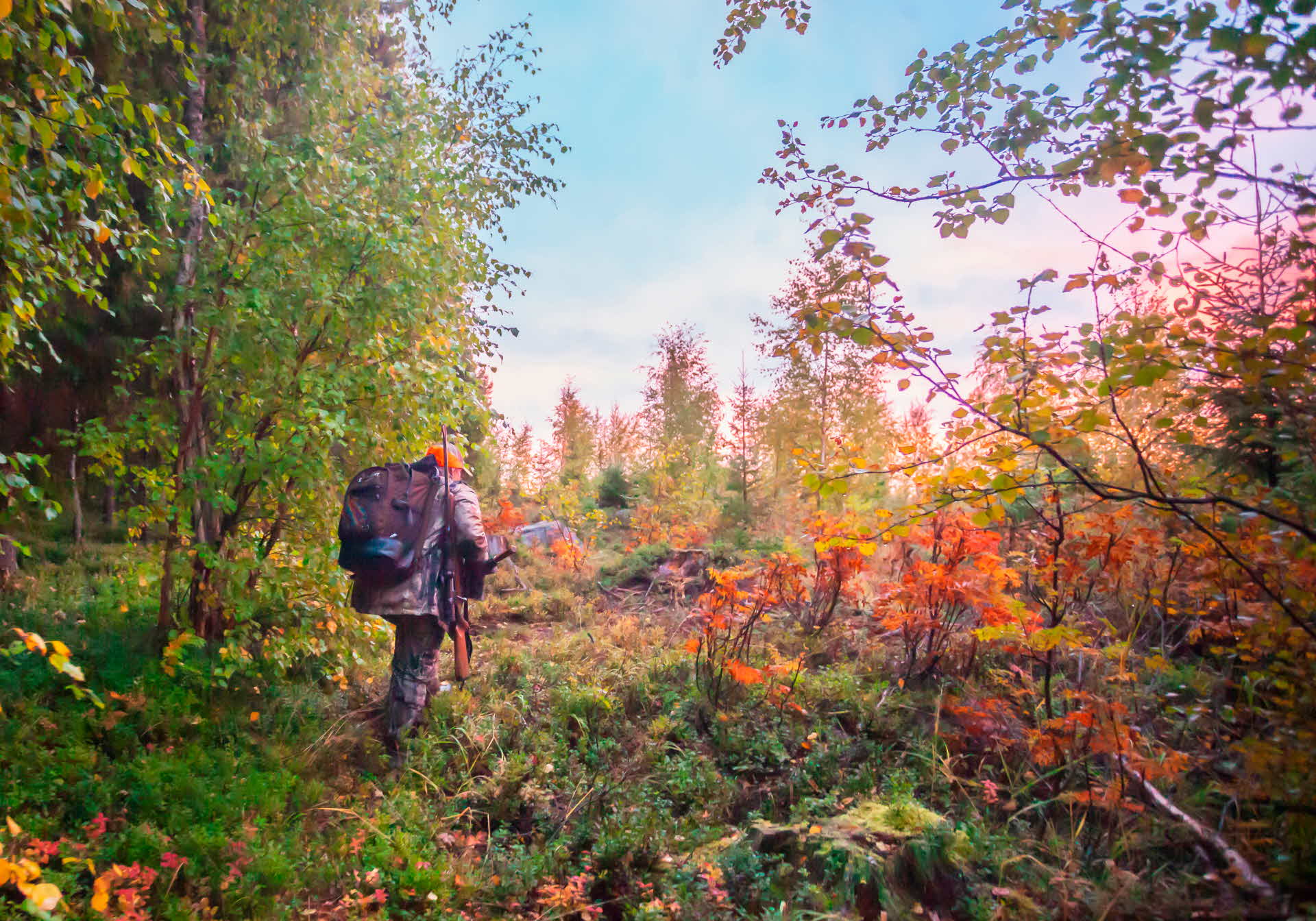 SCA Hunting and Fishing – Buy Permits for Fishing and Small Game