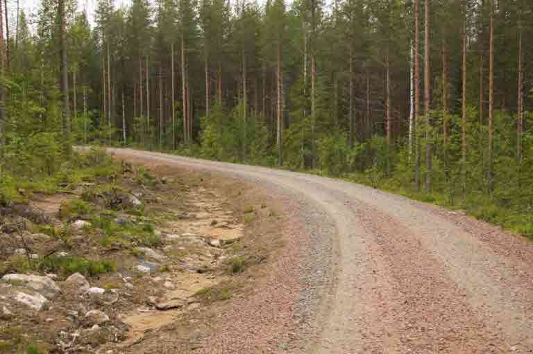 Our forest roads – SCA