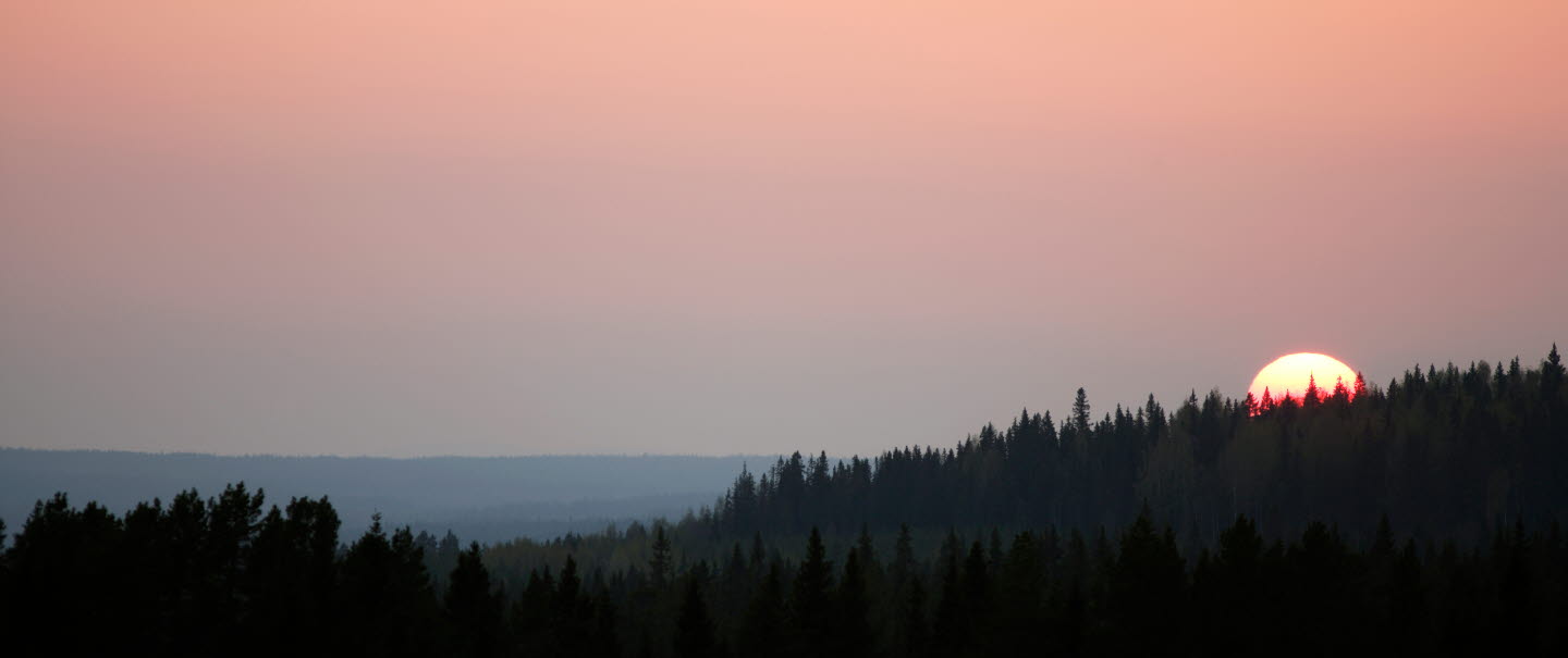 Containerboard - SCA