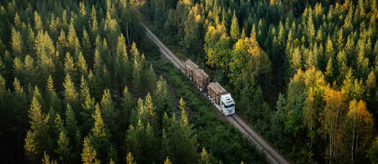 VIOL 3, GATA och SCA Skog