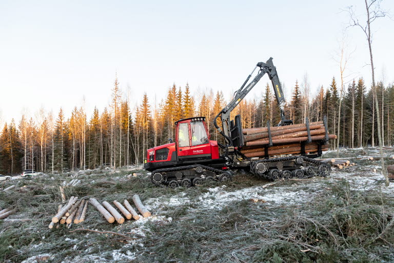 Centipede - for a more sustaiable forestry – SCA